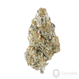 enua 27/1 DSH CA Dark Shadow Haze jetzt bestellen!